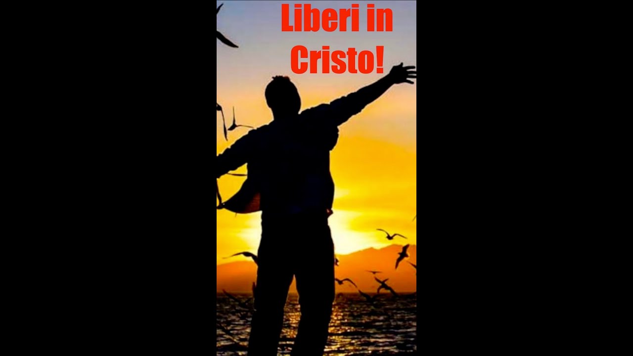 Finalmente liberi ! - YouTube