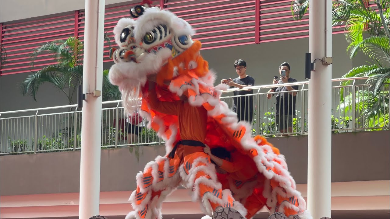 LION DANCE CHAMPIONSHIP 2024 FINAL DAY AT LENG KEE COMMUNITY CLUB ...