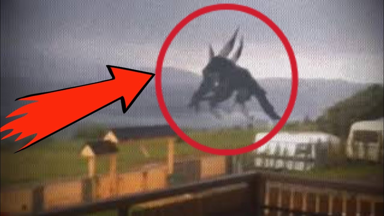 5 REAL GODZILLA CAUGHT ON CAMERA || MR UNIQUE - YouTube