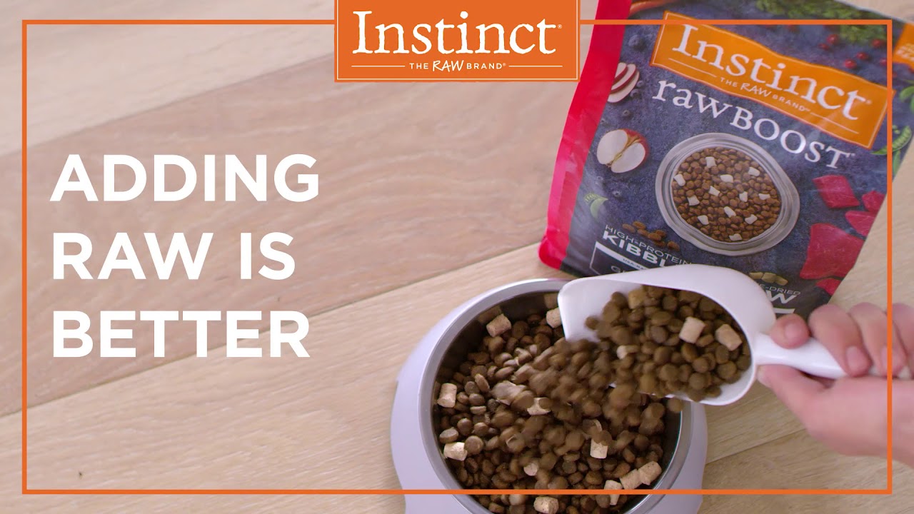 :06 Instinct Raw Boost: Ordinary Into Extraordinary. - YouTube