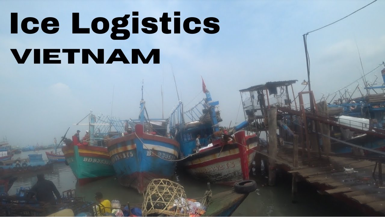 Ice Loading Logistics Unveiled: The Intricate Process of Loading Ice ...