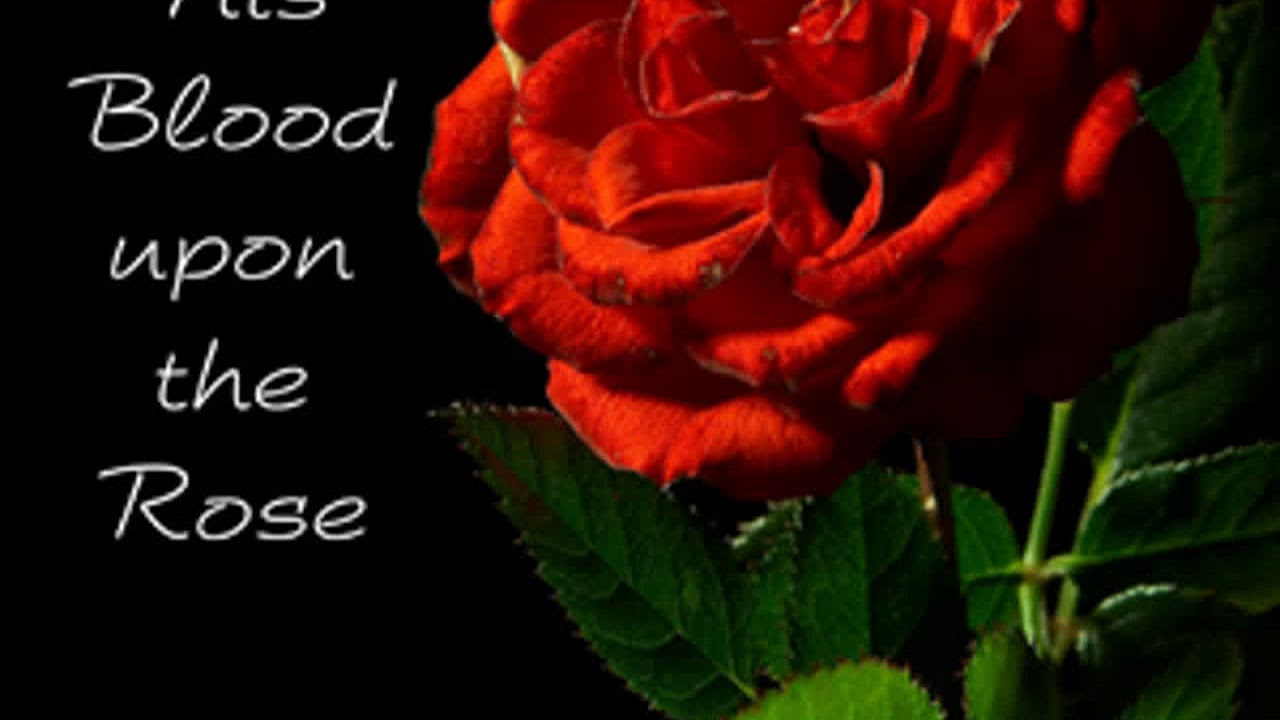 I see His Blood upon the Rose by Joseph Mary PLUNKETT read by Various ...