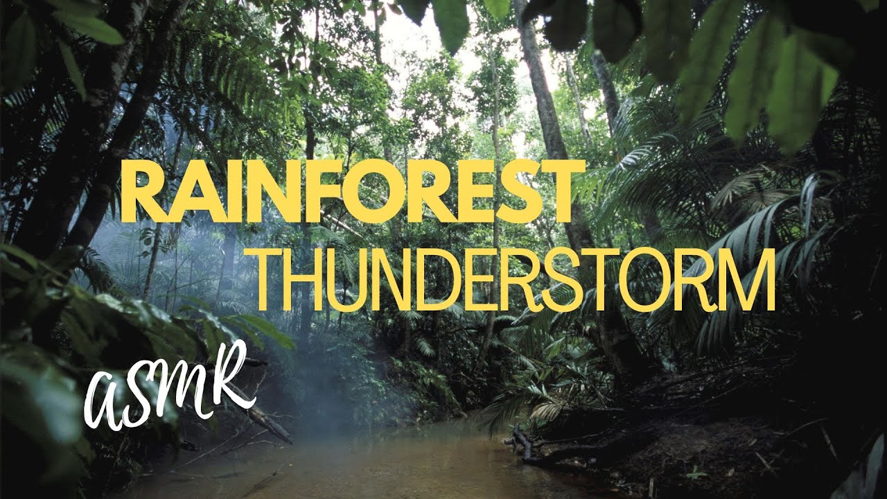 Rainforest Thunder Storm sounds - Relaxing- Meditation- Sleep- 50 ...