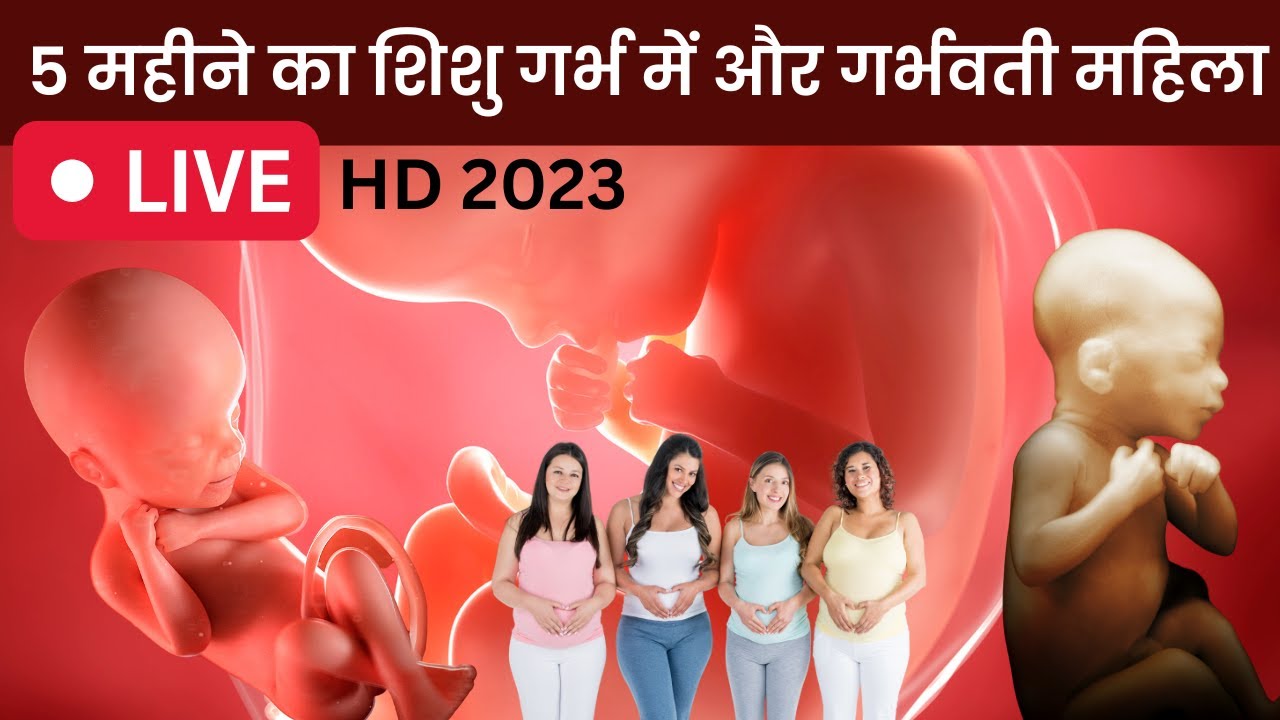 5th Month of Pregnancy Baby Development 18 to 21 Weeks - YouTube