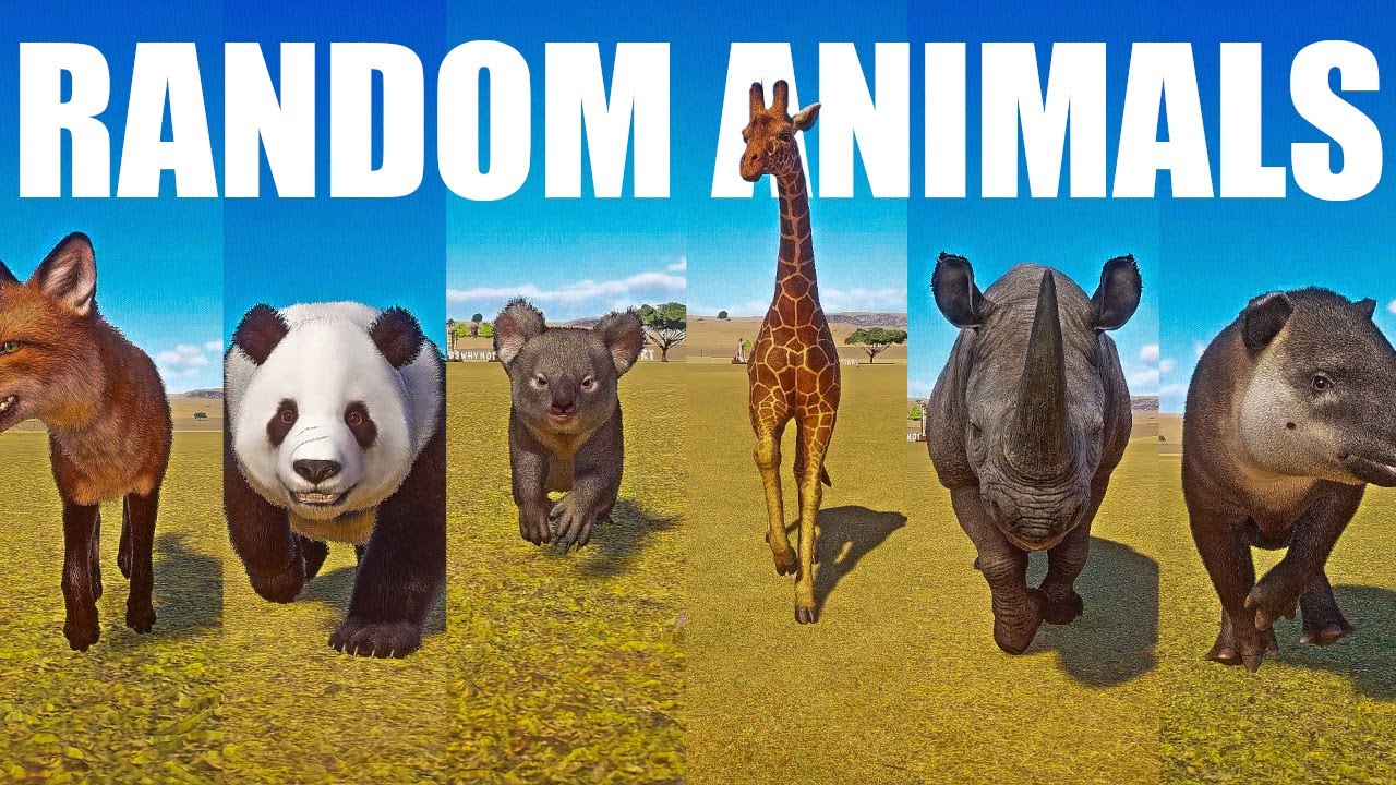 Random Animals Speed Races in Planet Zoo included Giraffe, Panda, Koala ...