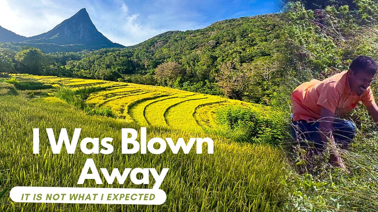 When nature blew me away : I could survive | An unforgeable journey ...