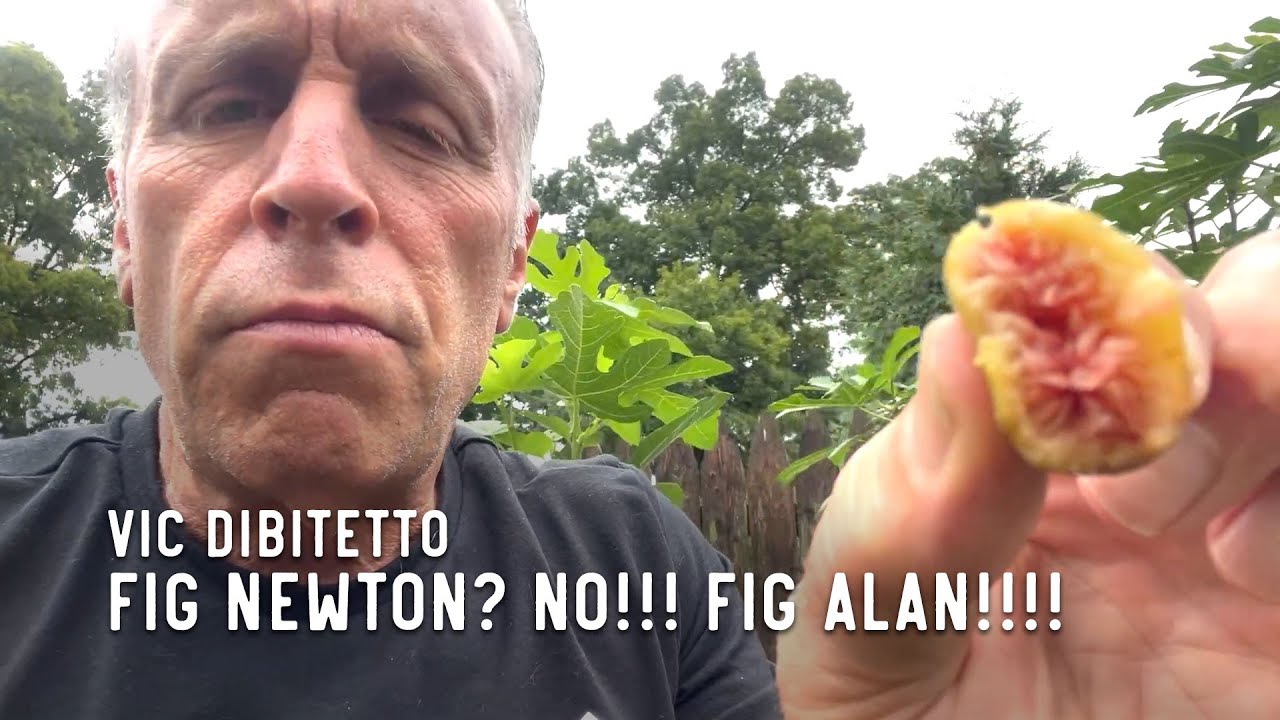 Fig Newton? NO!!! Fig Alan!!!! - YouTube