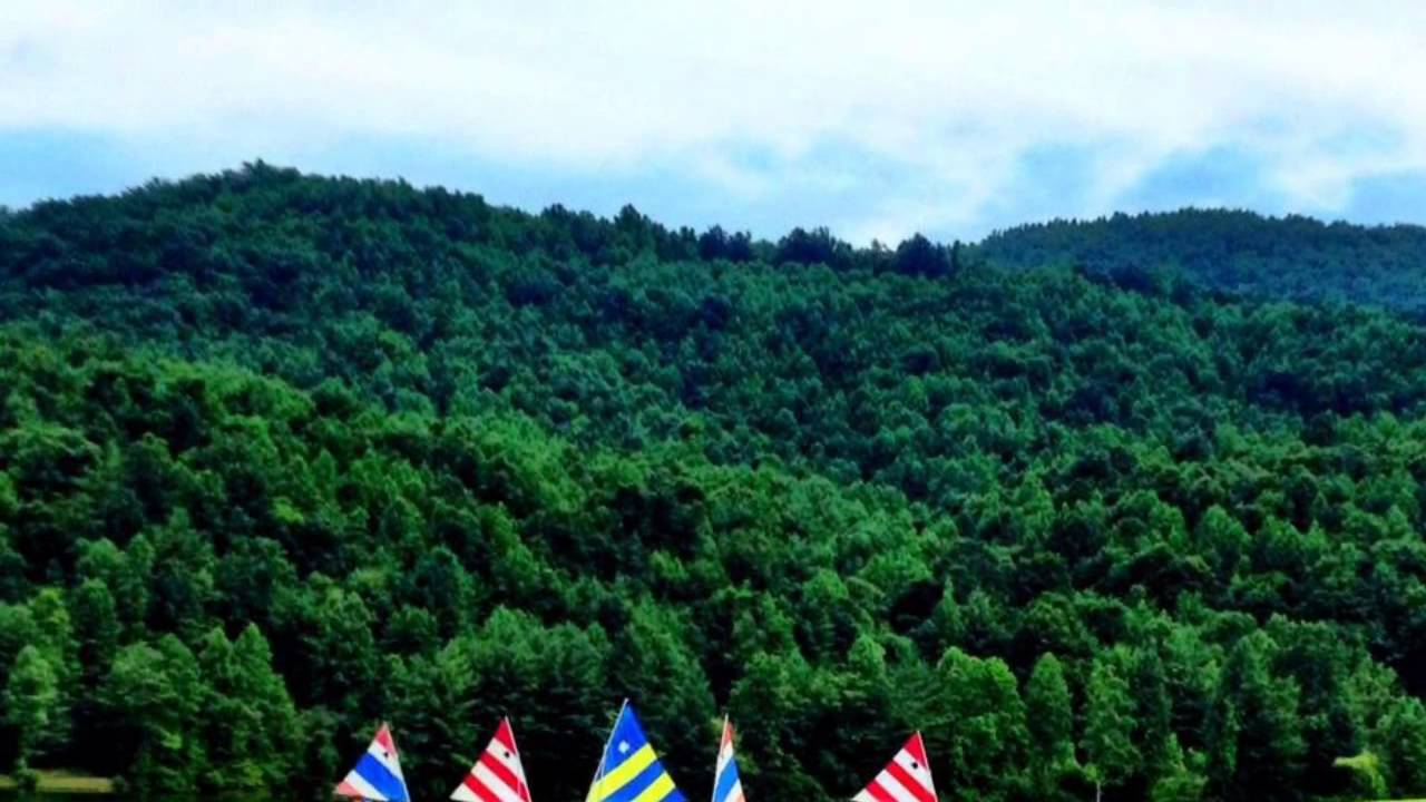 YMCA Camp Harrison - YouTube