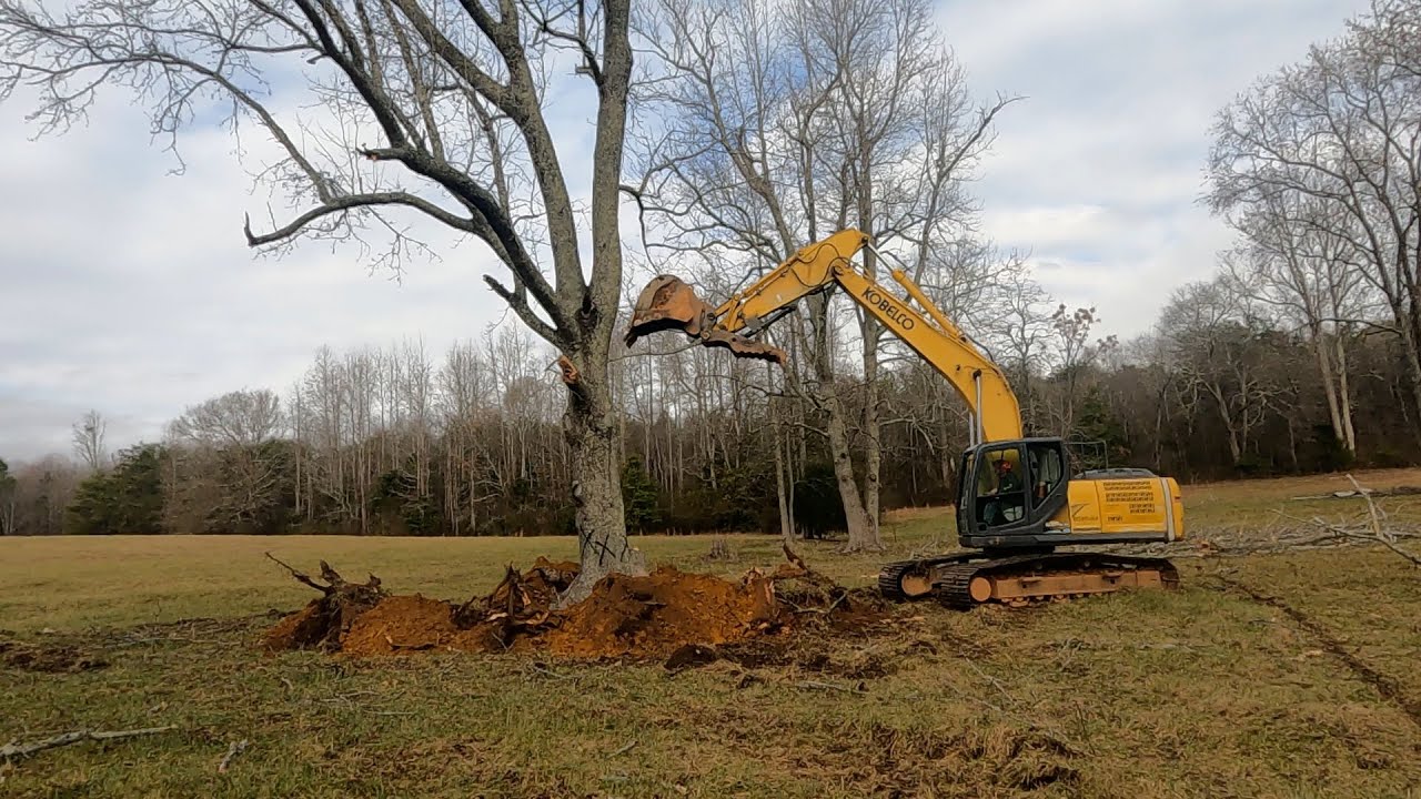 60 ACRES - Massive stump and new equipment! - YouTube