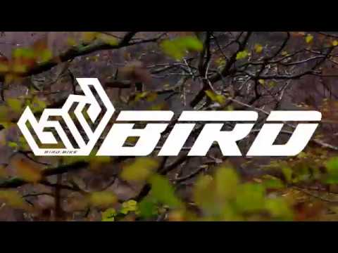 Introducing the 2018 Bird Zero AM Boost - YouTube