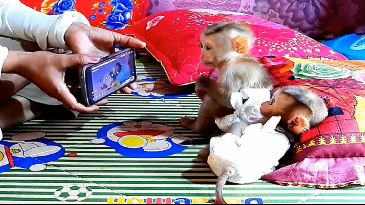 Enjoy Vicky and Charly watching the cartoon on YouTube - YouTube