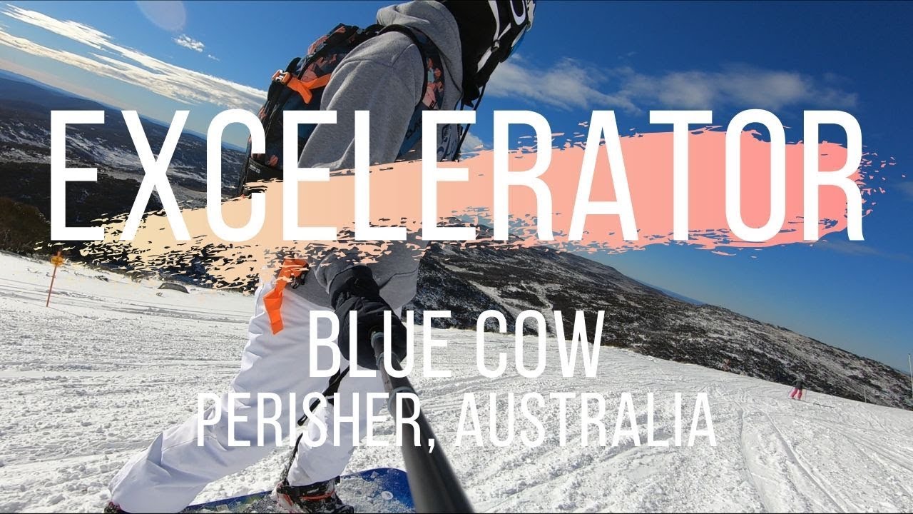 Excelerator (Blue Cow) || Perisher, AUSTRALIA - YouTube