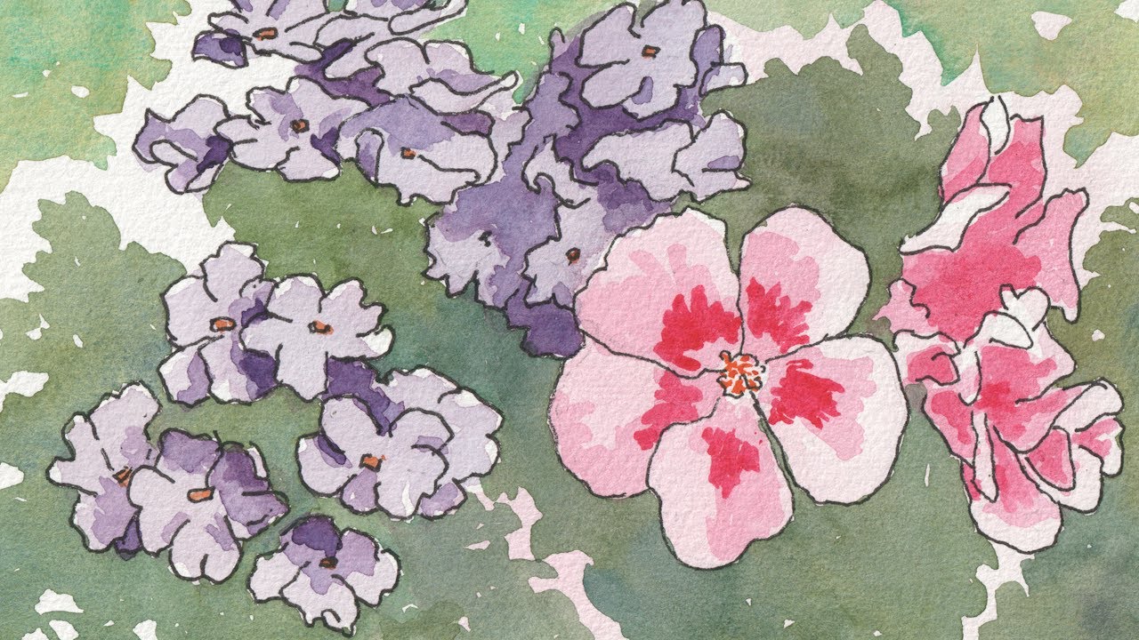 20 Irises... Garden Verbena and Zonal Geraniums - YouTube