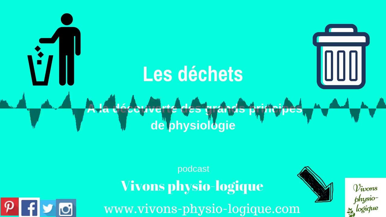 Les grands principes de physiologie: les déchets du corps - YouTube