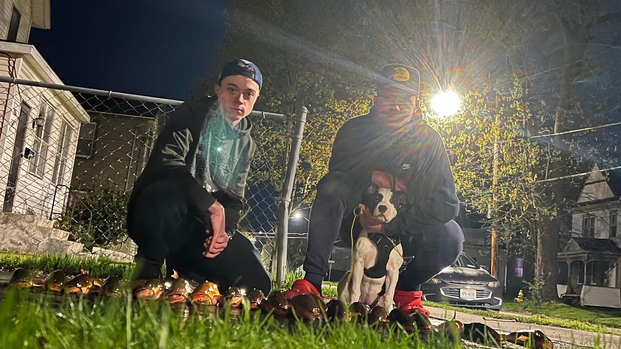 Catch & Cook Bullhead Part 2 - YouTube