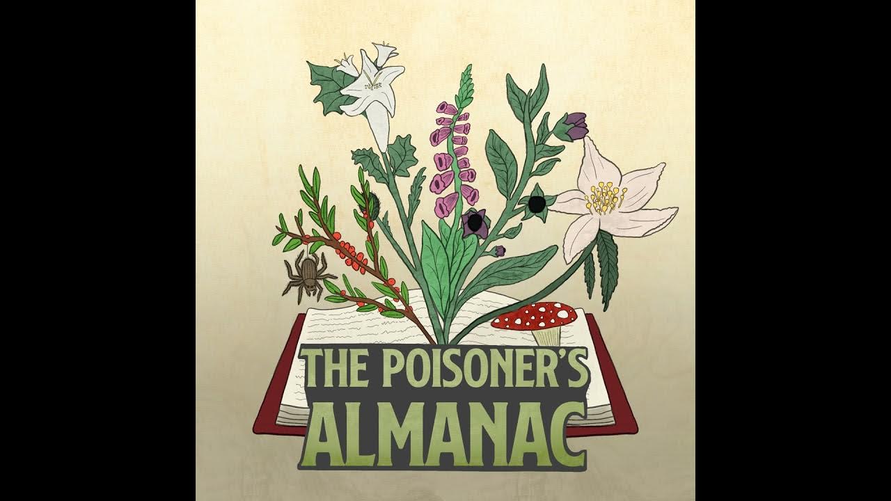 Swimmers Beware 2: Bacteria, Parasites, Amoebas...Oh My! - YouTube