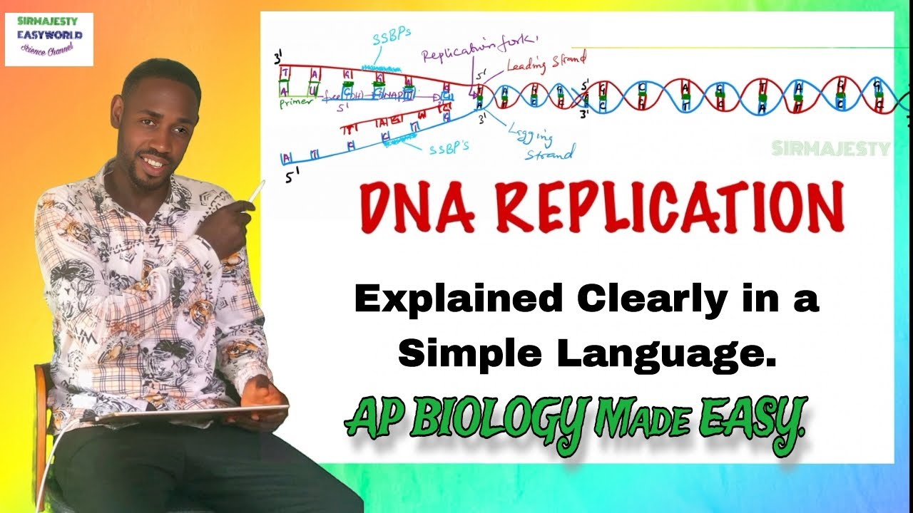 AP BIOLOGY: DNA REPLICATION in details and the summary of the cell ...