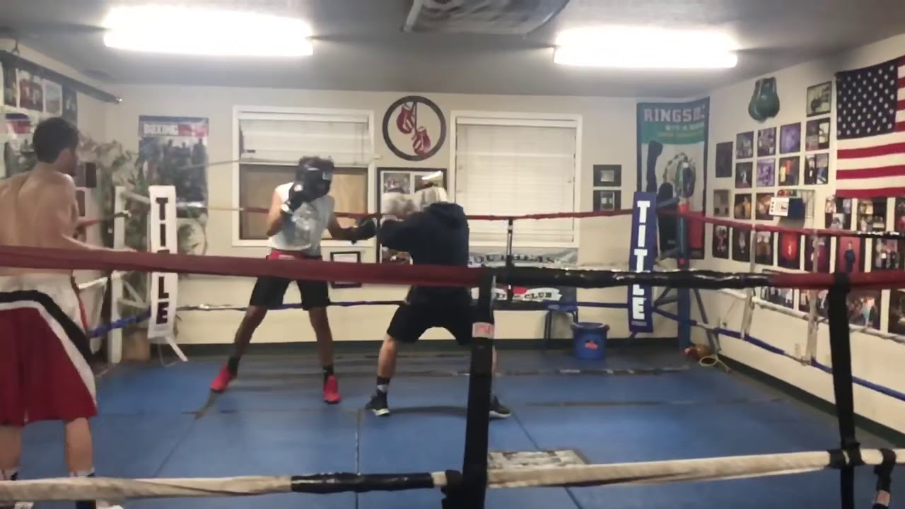 The boxer ash - YouTube