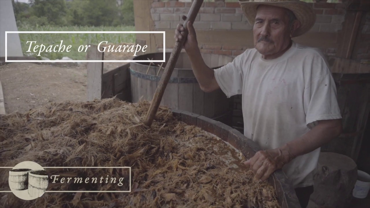 Artisanal Process of Mezcal Part IV - Open Air Fermentation - YouTube