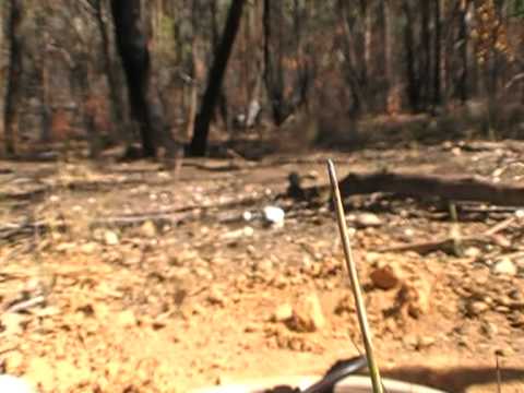 GPX 5000 back to talbot gold detecting - YouTube