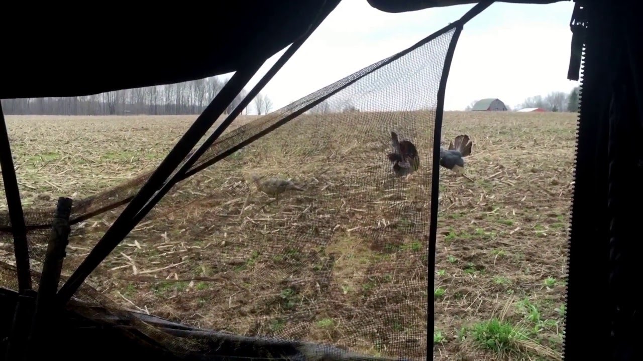 2016 Michigan turkey hunting - YouTube