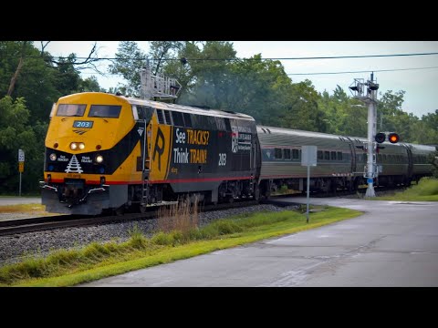 Amtrak P051 with Amtrak 203 50TH ANNIVERSARY, OPERATION LIFESAVER unit ...