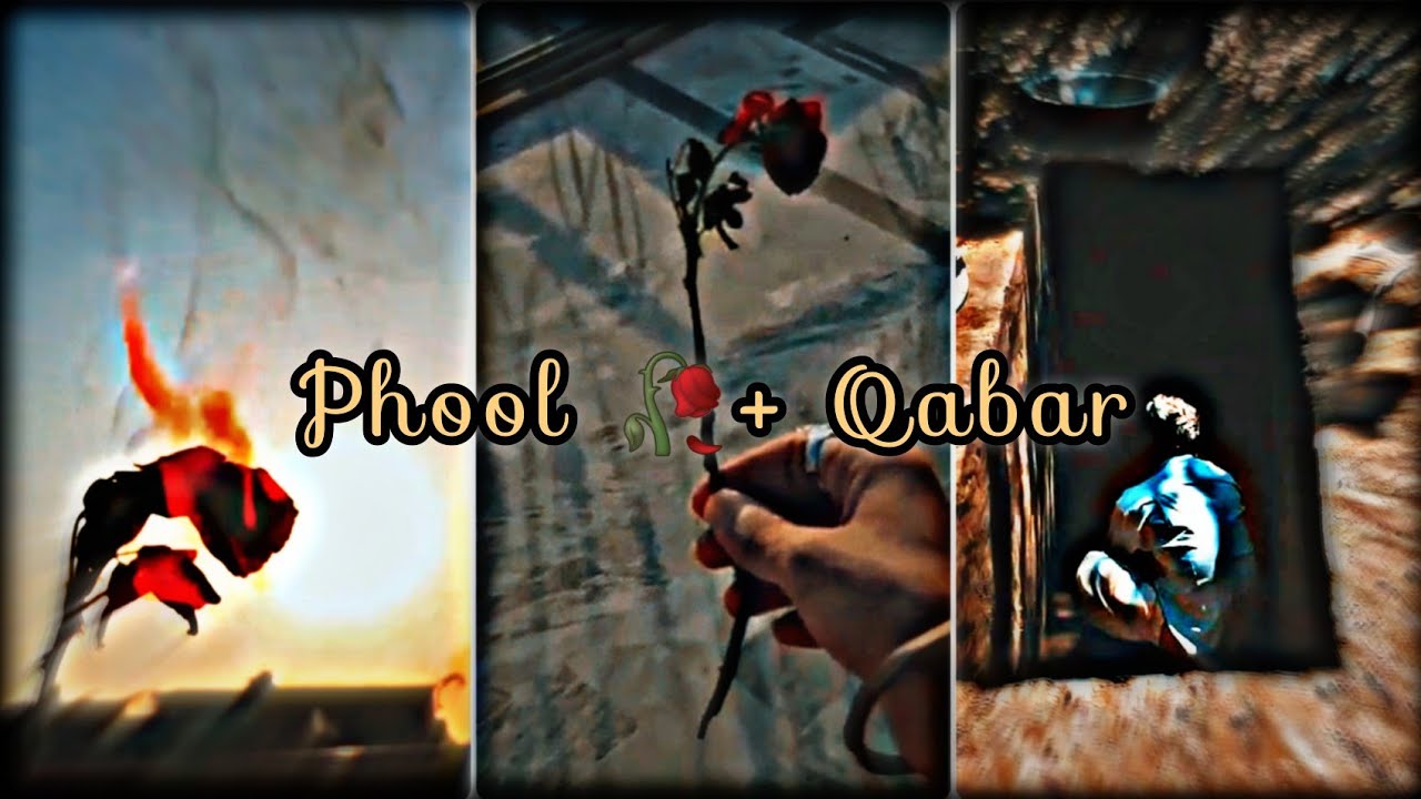 Emotional Whatsapp Status 😢| Death Status | Very Sad Death Status ...