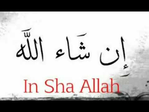 #Best #Islam #Arabic #Cut songs #Whatsapp status #Allah #Alhamdulillah