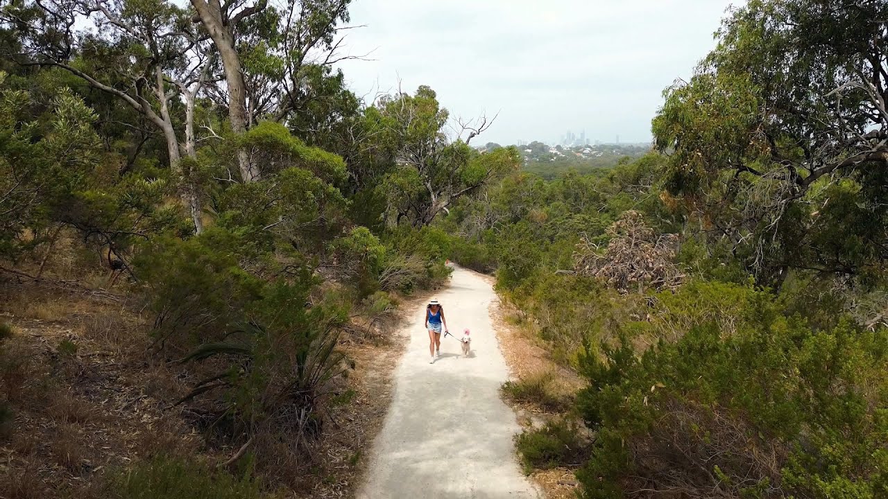 Destination WA - Nature in the City - YouTube