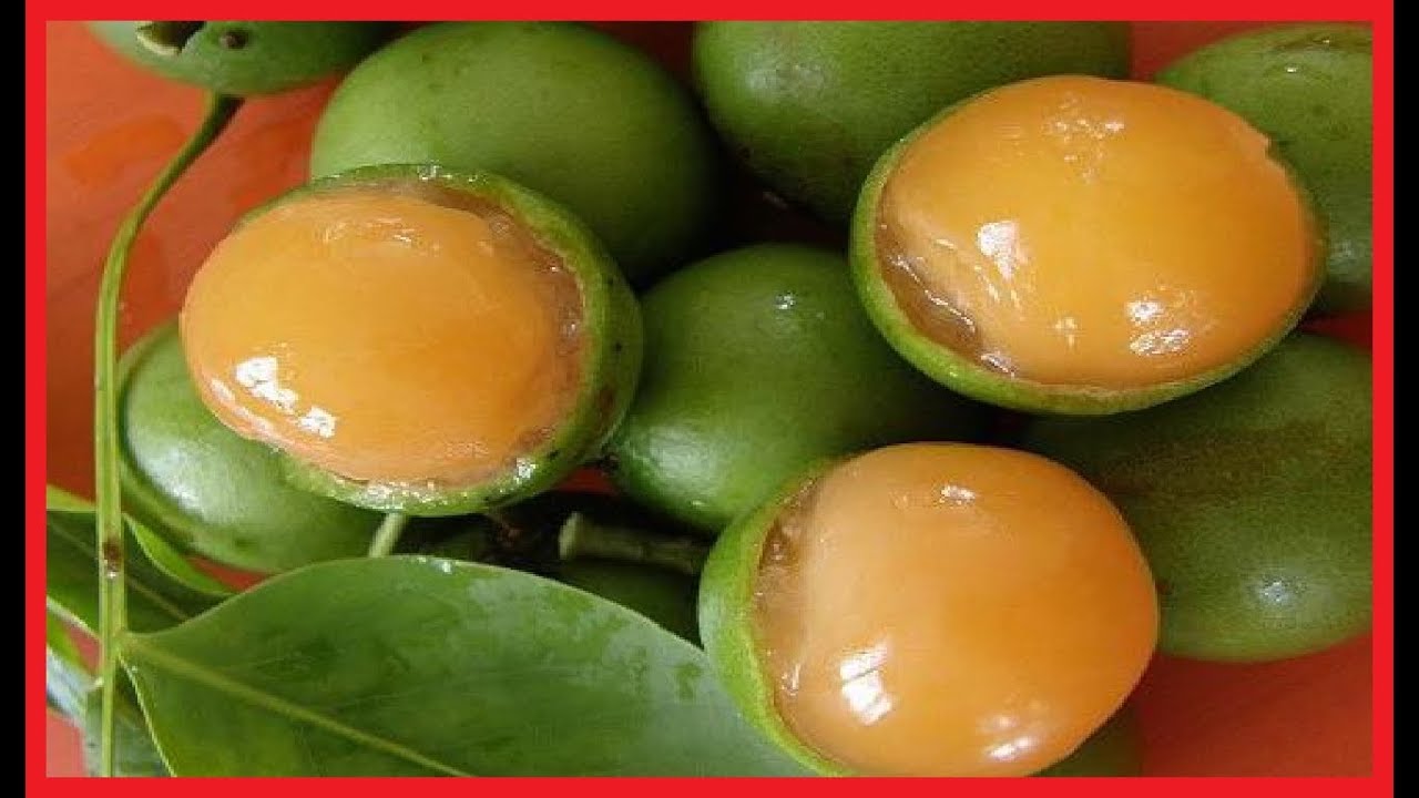 ¿Con qué nombre conoces esta fruta Beneficios de la manzana de oro ...