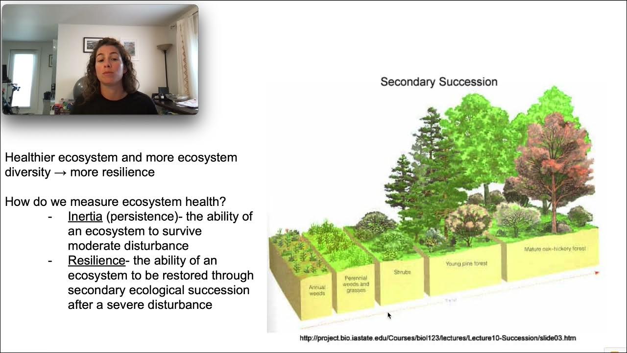 What Is Ecosystem Diversity YouTube what-is-ecosystem-diversity-youtube