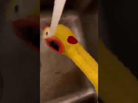 pollo ahogado - YouTube