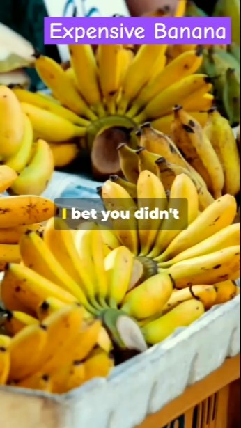 The World's Most Expensive Banana 🍌🍌🍌🍌 || Farm Modernization #banana # ...