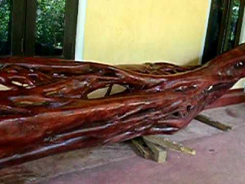 Ruk kala for sale @ Algama Sri lanka TP:0335674236 Nature Sri lanka ...