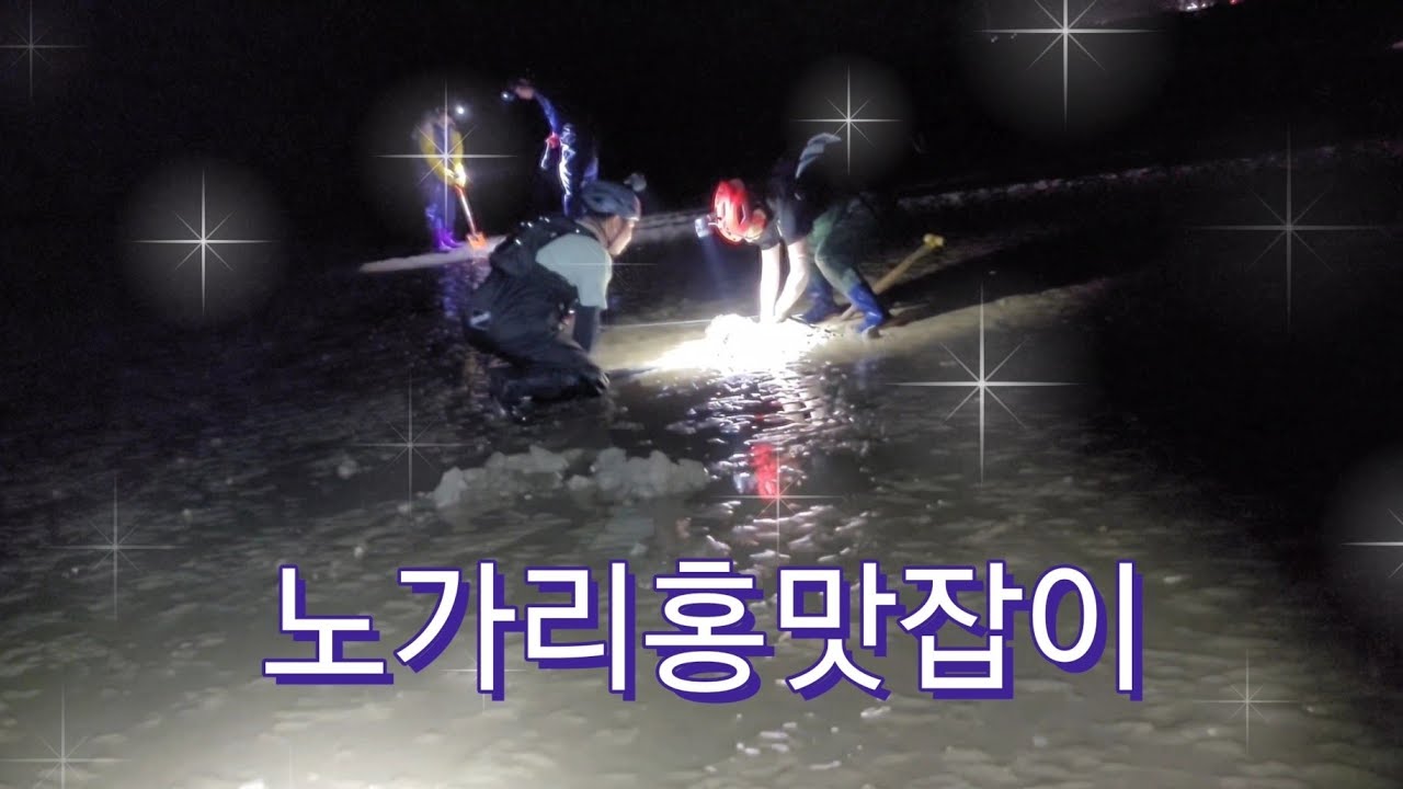 노가리홍맛 2차전 - YouTube