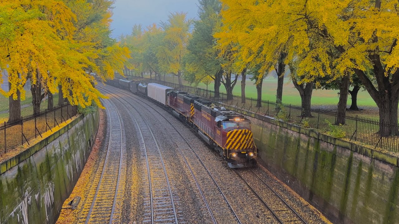 SWP & AVR Trains! Autumn 2023 - YouTube