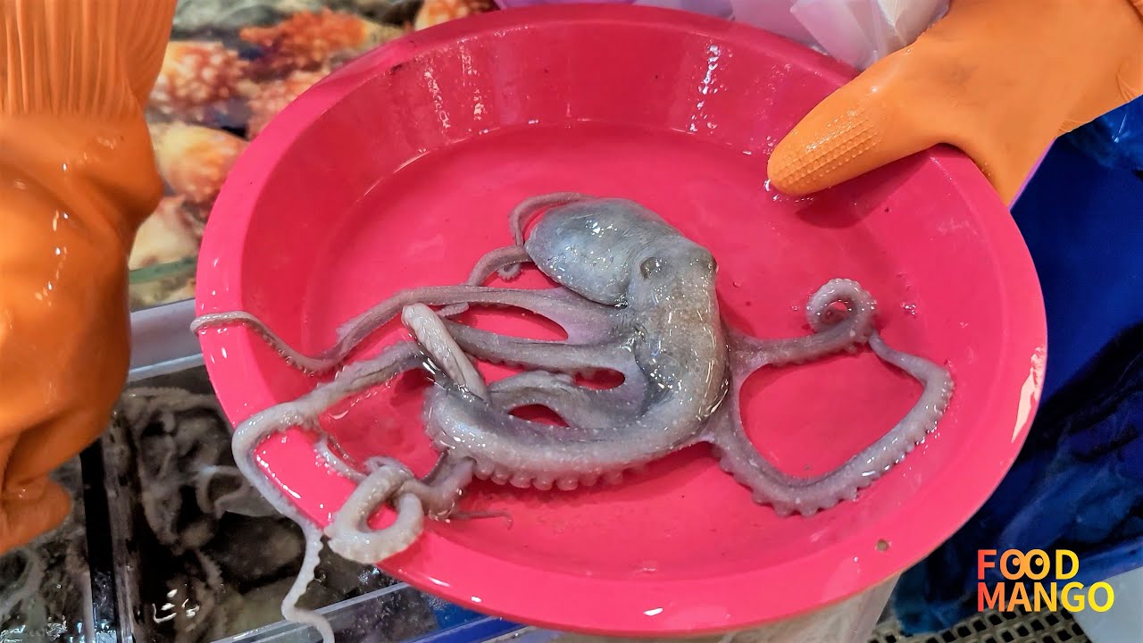 낙지탕탕이 연포탕 코스요리 / small octopus, long-legged octopus / Korean street ...