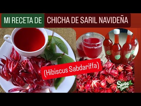 ¿COMO HACER CHICHA DE SARIL NAVIDEÑA? Flor de Jamaica - YouTube