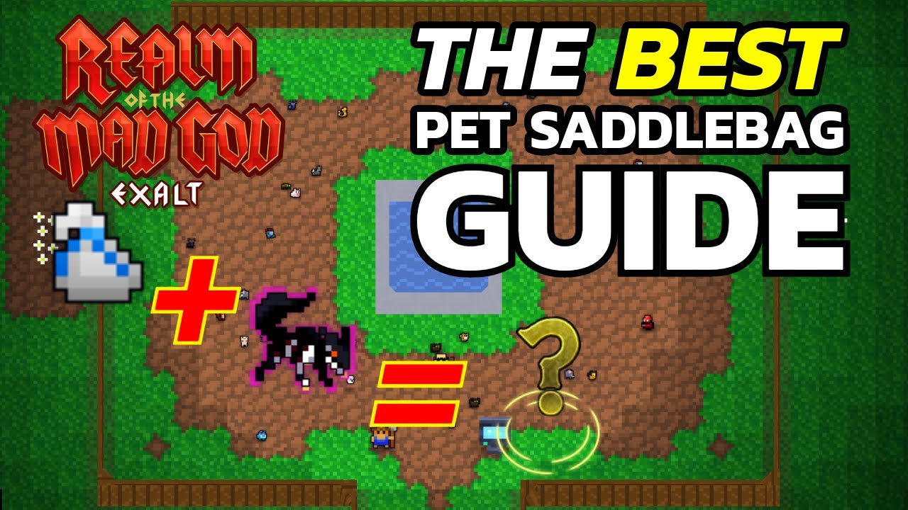 The Ultimate Pet Saddlebag Guide for ROTMG - YouTube