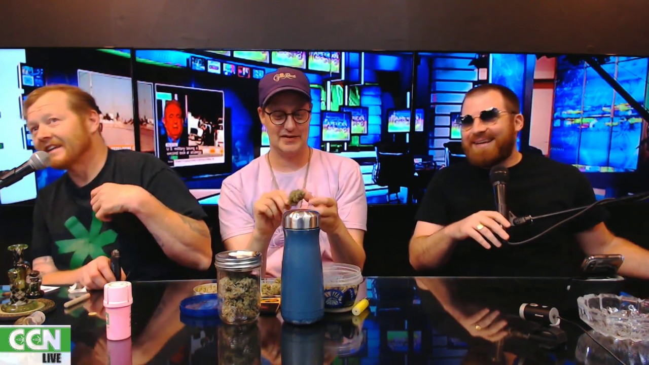 Cannabis Culture News LIVE: Dr. M-J Milloy & Son Doobie - YouTube