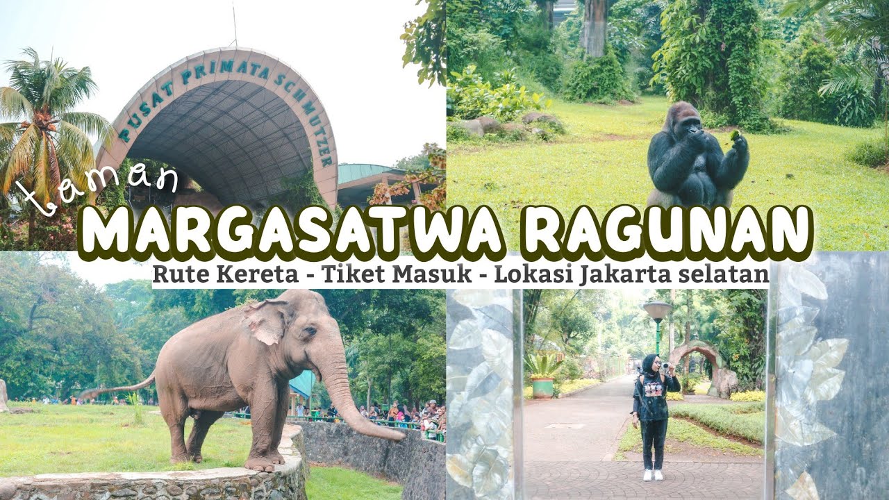 INFO RUTE STASIUN, TIKET MASUK TAMAN MARGASATWA RAGUNAN 2023 | Kangen ...