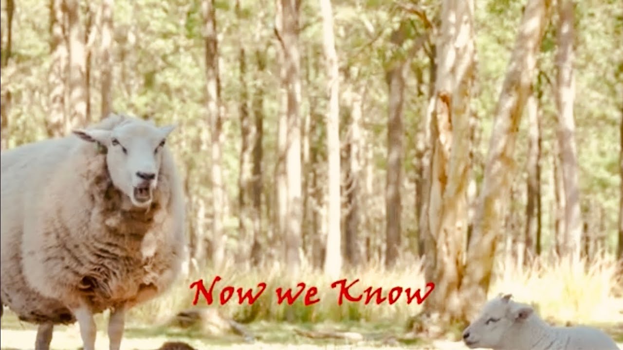 Now We Know - Written and Recorded by Rob Mandefield - YouTube