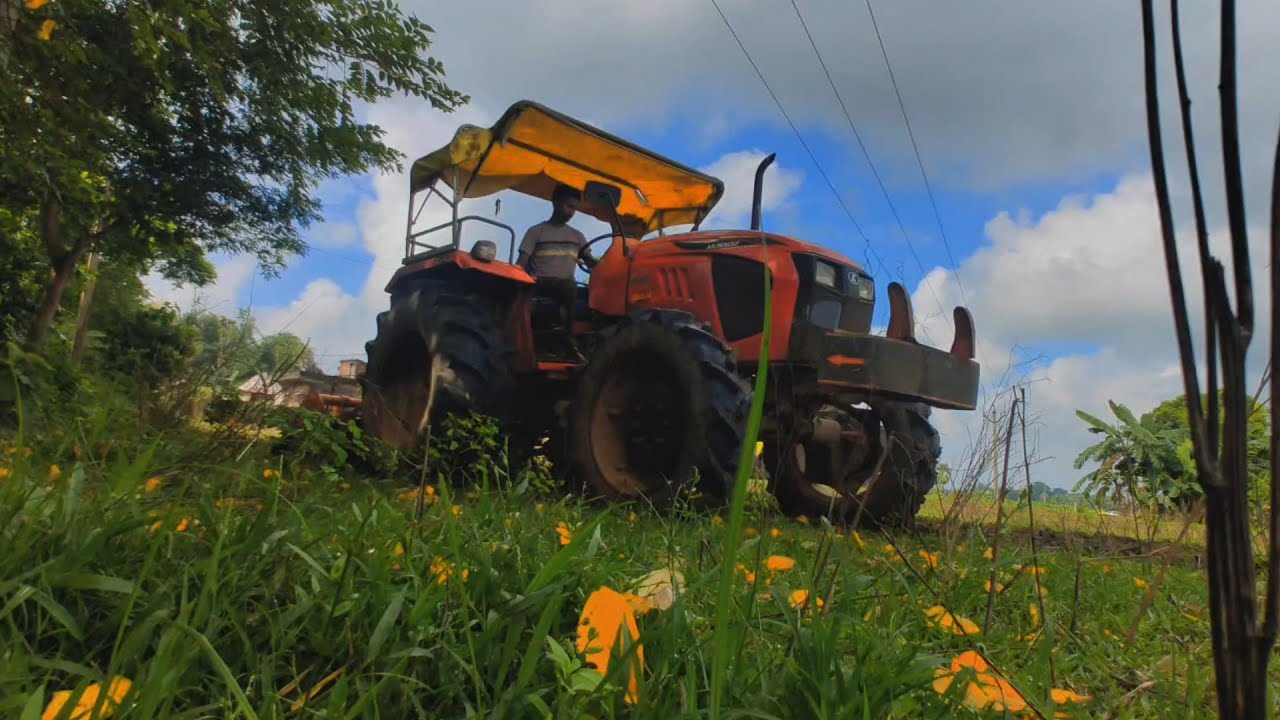 IN the dry soil, ploughing is being done with a tool to sow sesame ...