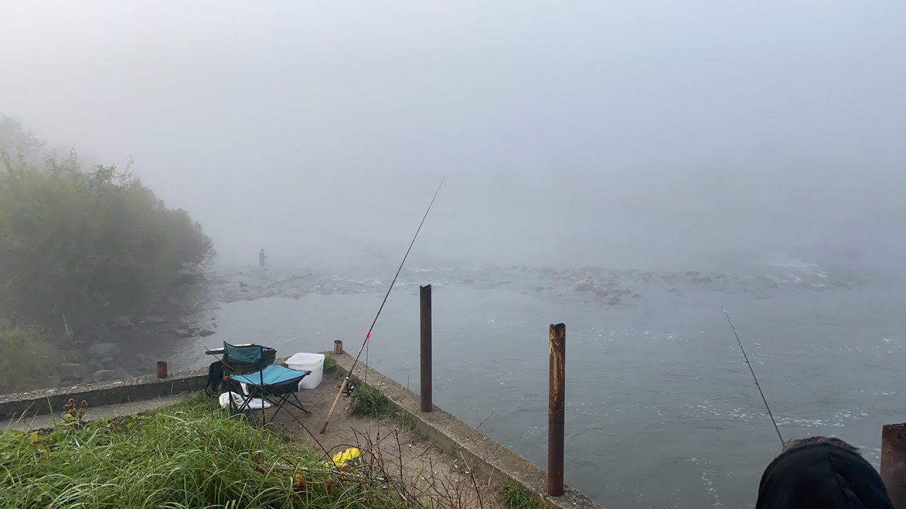 Live - Pescuit de pe raul Jiu - YouTube