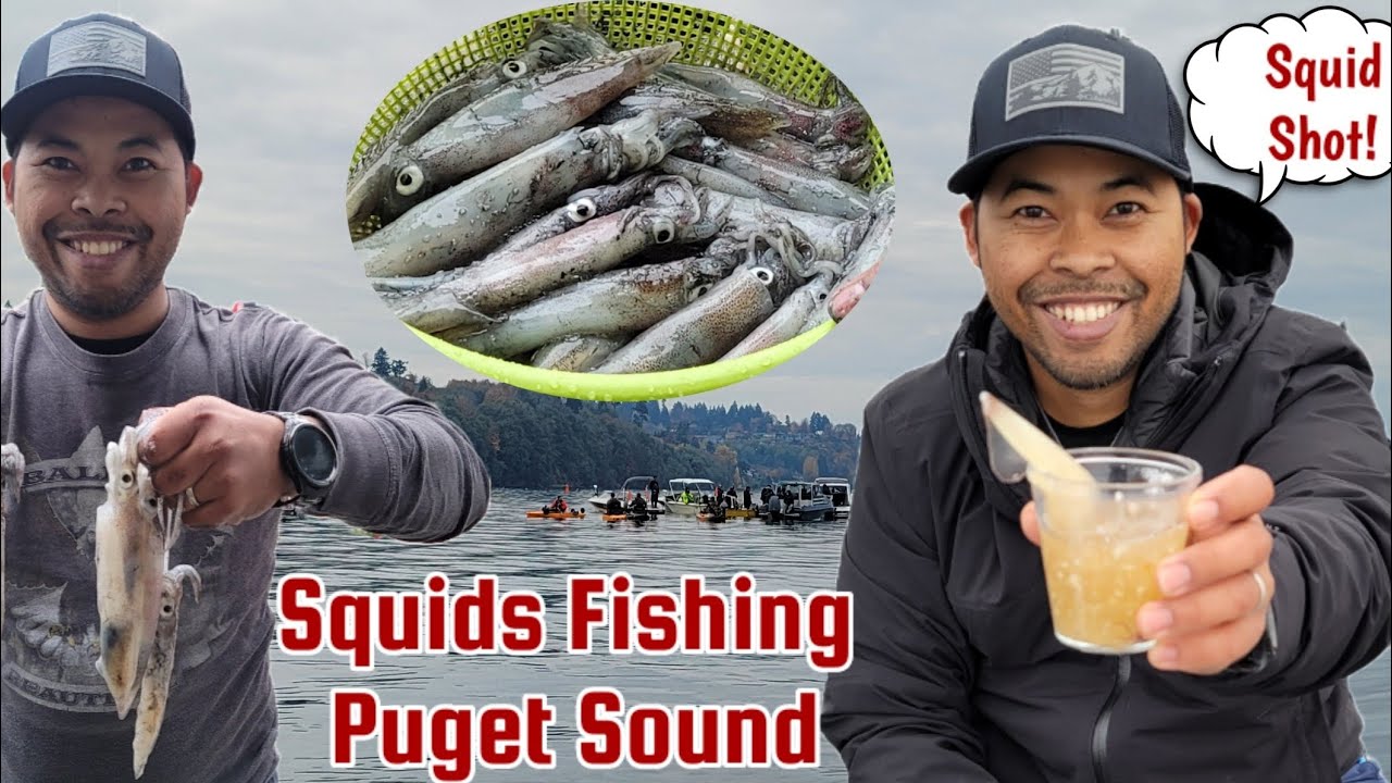SQUIDS SHOT OMG !!! Squids Fishing Puget Sound - YouTube