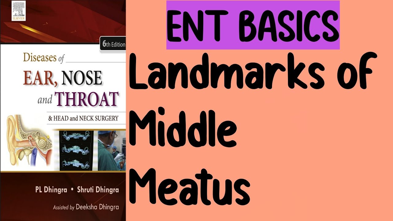 Landmarks of Middle meatus | Osteomeatal complex | Part 7 | Nose - YouTube