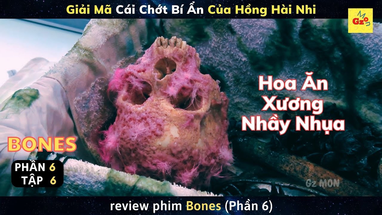 Giải Mã Cái Chớt Bí Ẩn Của Hồng Hài Nhi -- review phim Bones (Phần 6 ...