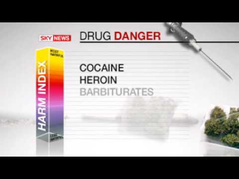 LSD Ecstasy and Cannabis Safer than Alcohol and Cigarettes - YouTube