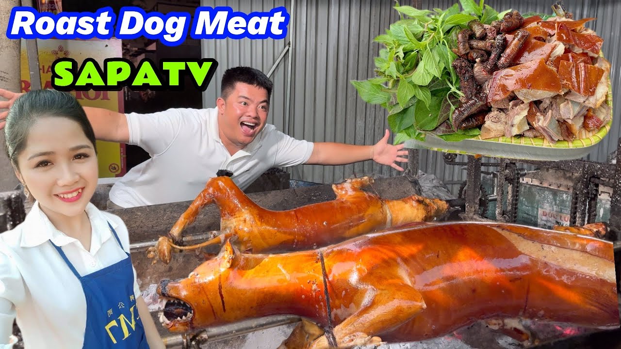The best roast dog meat specialty in Vietnam, is the favorite dish of ...