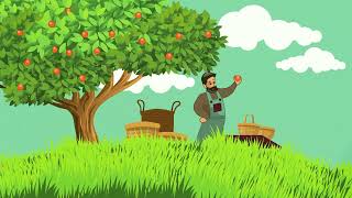 Del Fruto – Desde el Corazon Del Fruto – Bebidas Gaseosas y Saborizadas